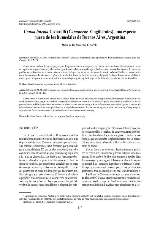 (PDF) Canna lineata Ciciarelli" (Cannaceae-Zingiberales), una especie ...