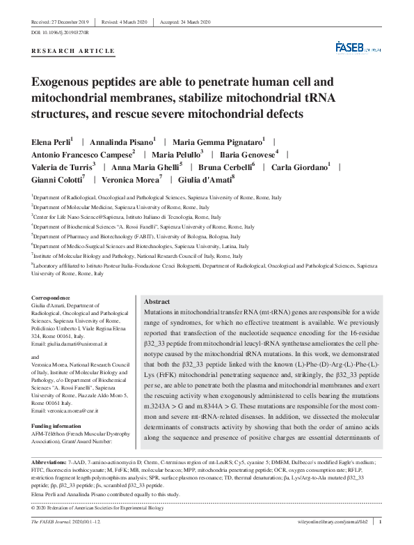 (PDF) Exogenous peptides are able to penetrate human cell and ...