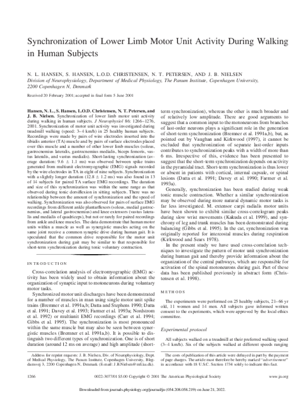 (PDF) Synchronization of Lower Limb Motor Unit Activity During Walking in Human Subjects