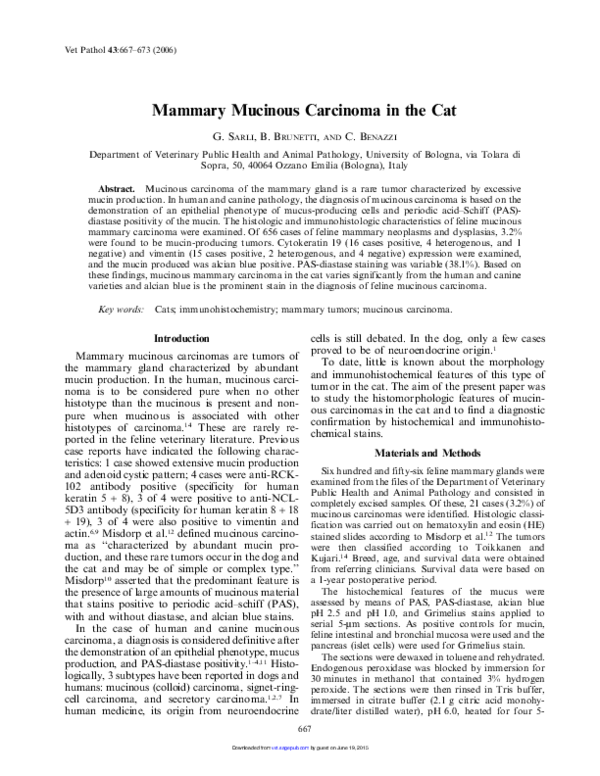 (PDF) Mammary Mucinous Carcinoma in the Cat