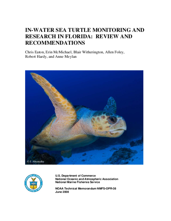 (PDF) In-Water Sea Turtle Monitoring and Research in Florida: Review ...