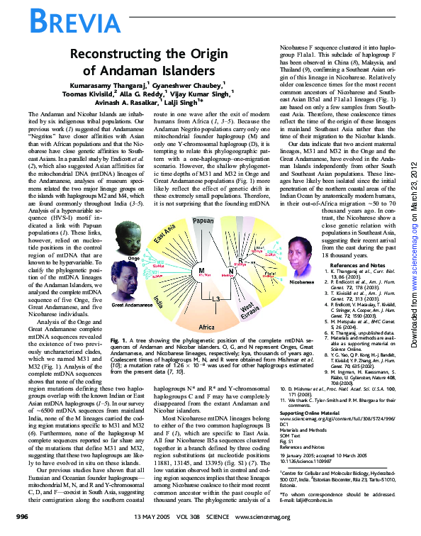 (PDF) Reconstructing the Origin of Andaman Islanders