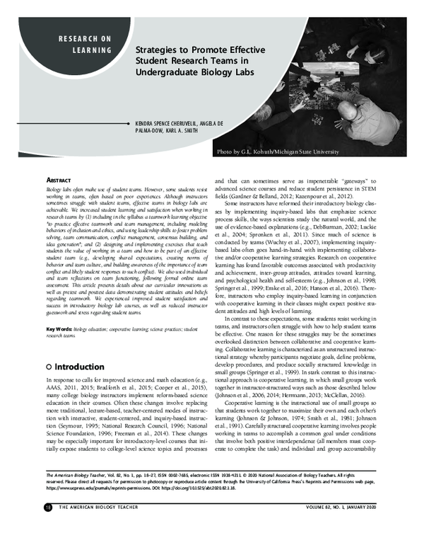 (PDF) Strategies to Promote Effective Student Research Teams in ...