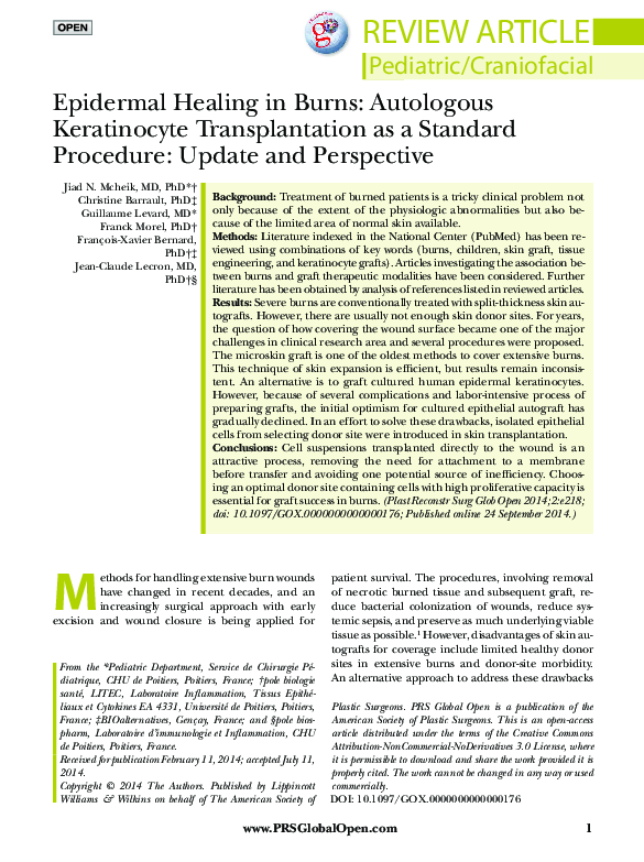 (PDF) Surgical Advances in Burn Wound Healing