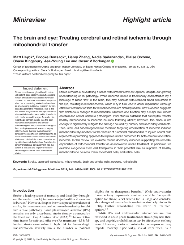 (PDF) The brain and eye: Treating cerebral and retinal ischemia through mitochondrial transfer