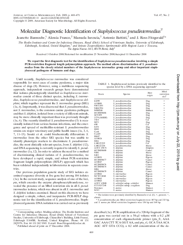 Pdf Pcr Method For Detecting Staphylococcus Pseudintermedius