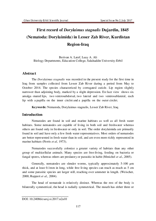 (PDF) First record of Dorylaimus stagnalis Dujardin, 1845 (Nematoda ...