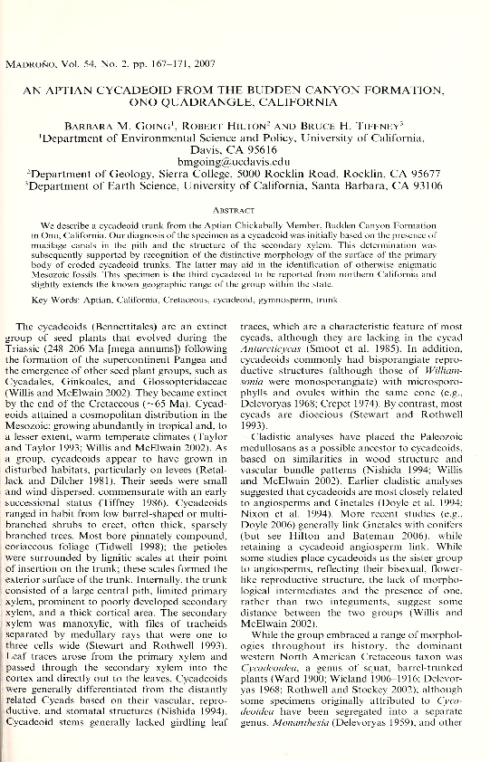 (PDF) An Aptian Cycadeoid from the Budden Canyon Formation, Ono ...