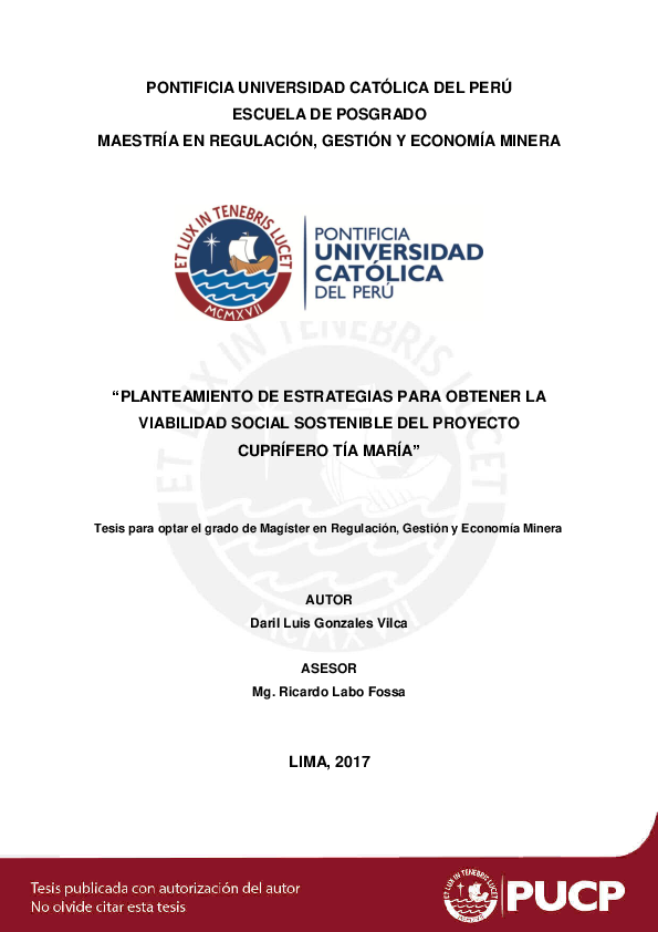 (PDF) Planteamiento de estrategias para obtener la viabilidad social ...