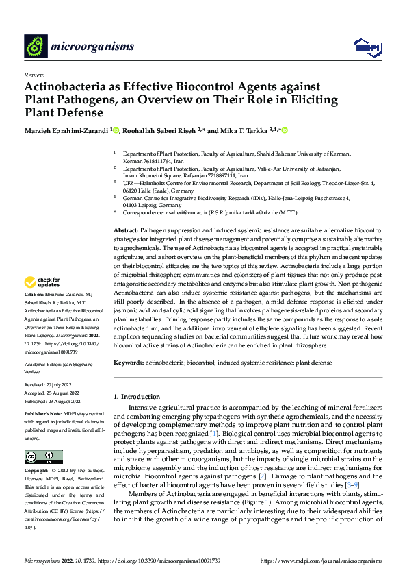(PDF) Actinobacteria as Effective Biocontrol Agents against Plant Pathogens, an Overview on ...