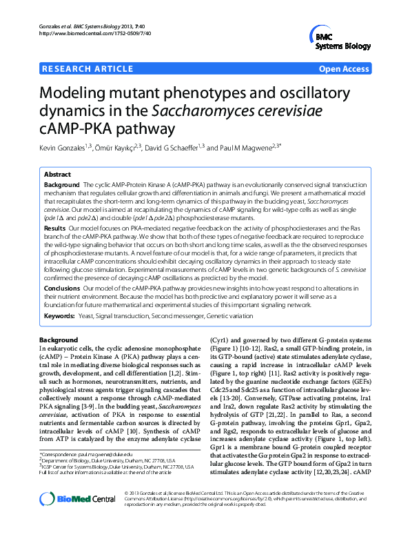 (PDF) Modeling mutant phenotypes and oscillatory dynamics in the Saccharomyces cerevisiae cAMP ...