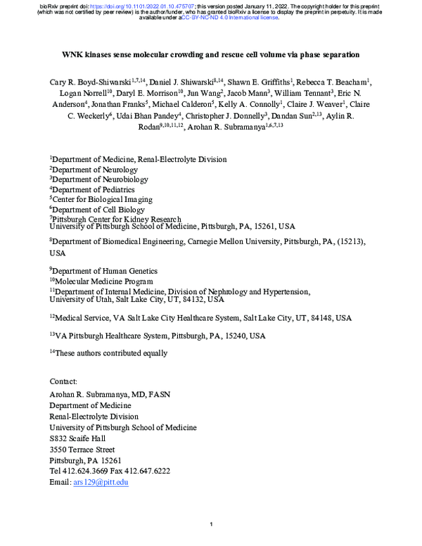 (PDF) WNK kinases sense molecular crowding and rescue cell volume via phase separation