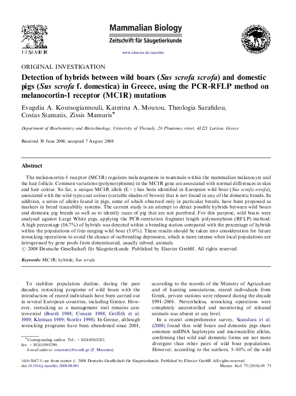 (PDF) Detection of hybrids between wild boars (Sus scrofa scrofa) and ...