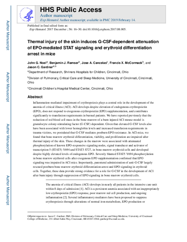(PDF) Thermal injury of the skin induces G-CSF-dependent attenuation of ...