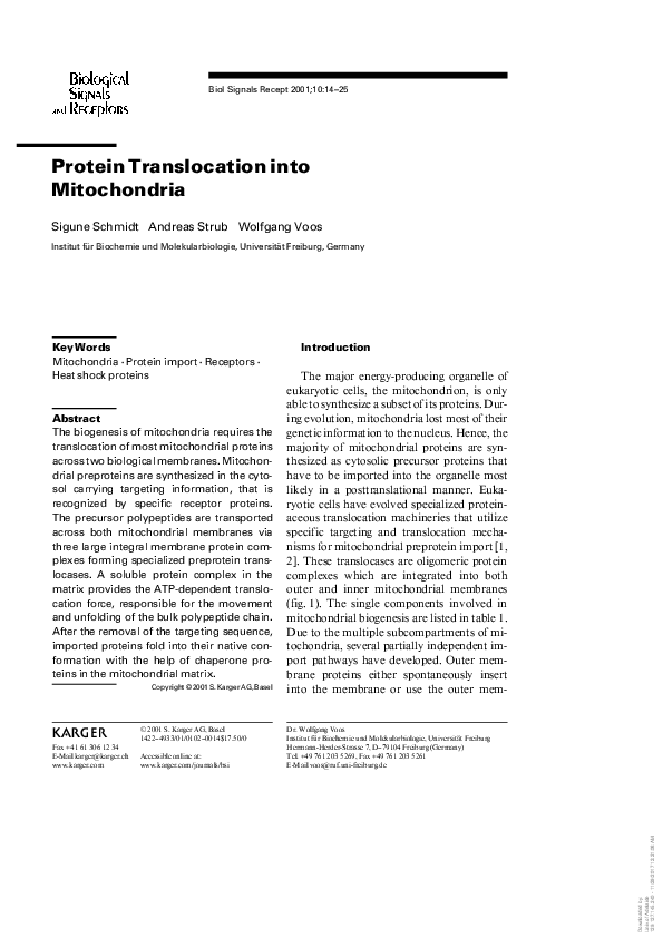 (PDF) Protein translocation into mitochondria