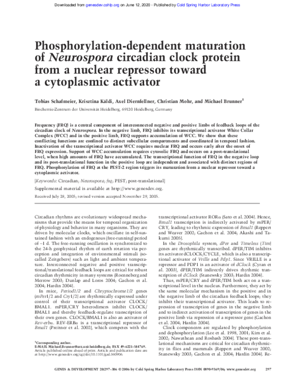 (PDF) Phosphorylation-dependent maturation of Neurospora circadian ...