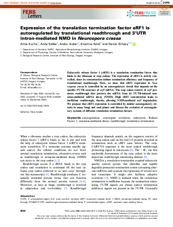 (PDF) Expression of the translation termination factor eRF1 is ...