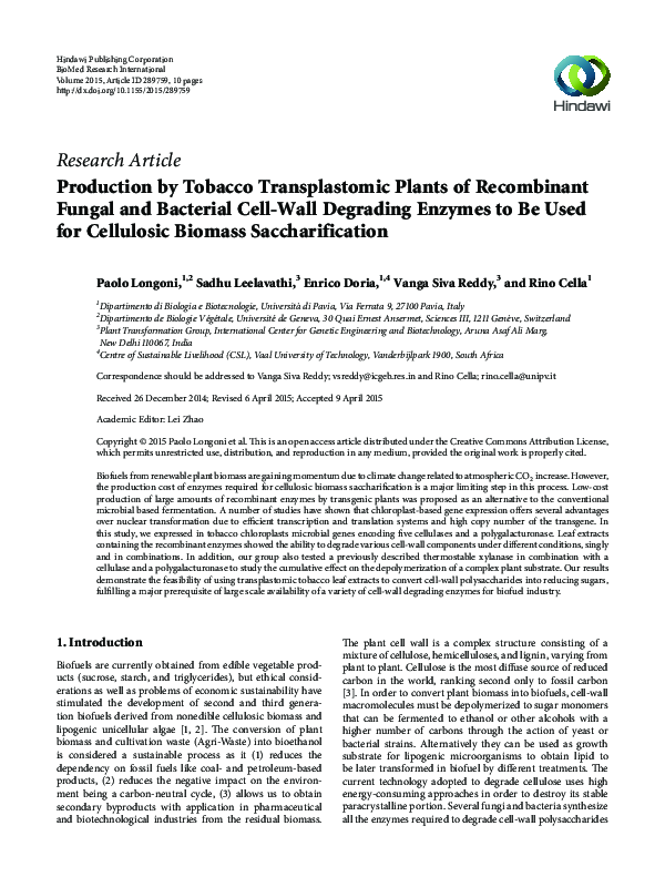 (PDF) Production by Tobacco Transplastomic Plants of Recombinant Fungal ...