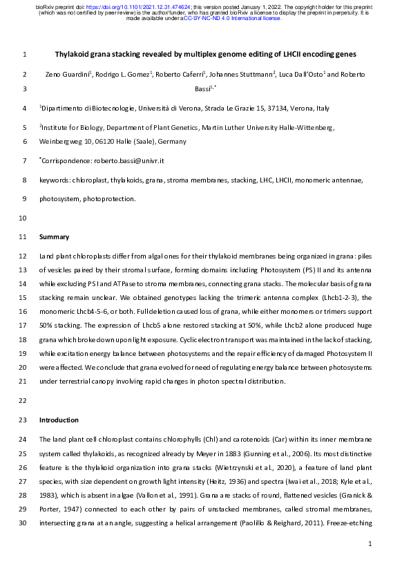 (PDF) Thylakoid grana stacking revealed by multiplex genome editing of ...