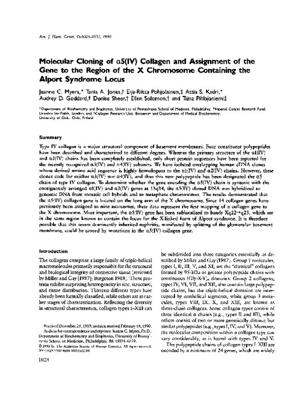 (PDF) Molecular cloning of alpha 5(IV) collagen and assignment of the gene to the region of the ...