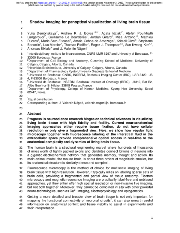 (PDF) Shadow imaging for panoptical visualization of living brain tissue
