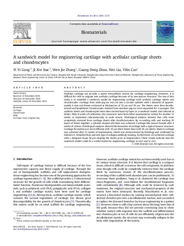 (PDF) A sandwich model for engineering cartilage with acellular ...