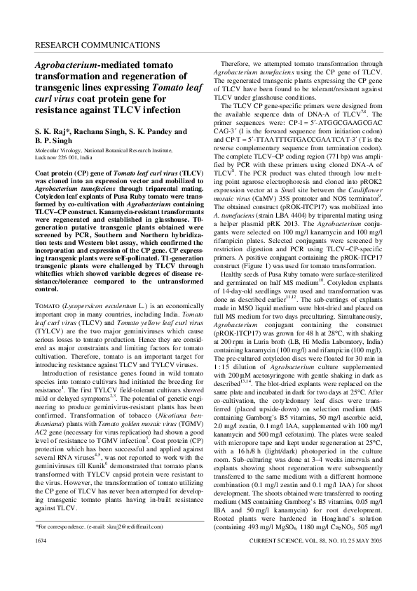 (PDF) Agrobacterium-mediated tomato transformation and regeneration of ...