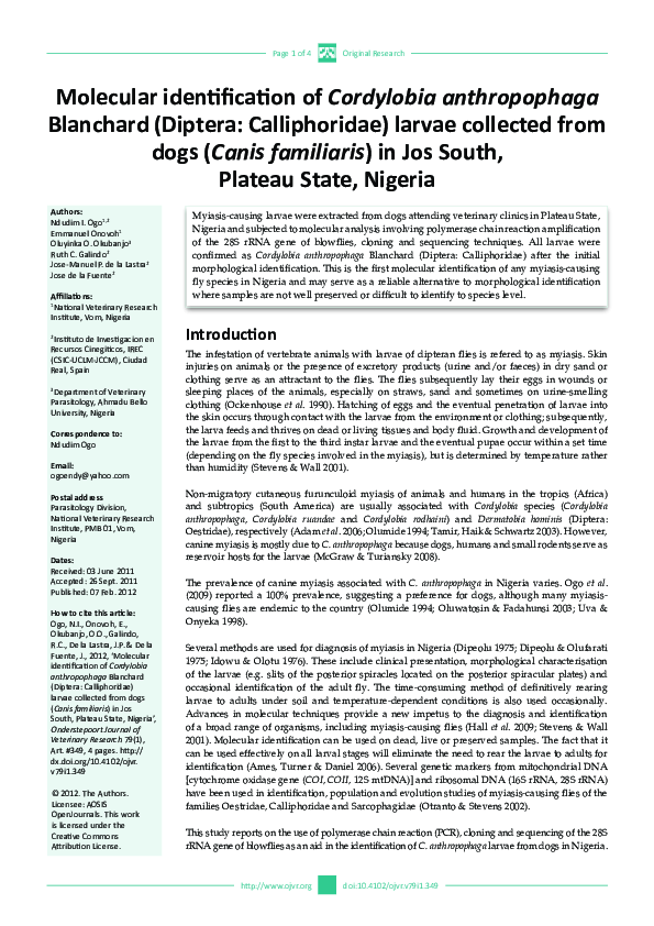 Pdf Molecular Identification Of Cordylobia Anthropophaga Blanchard