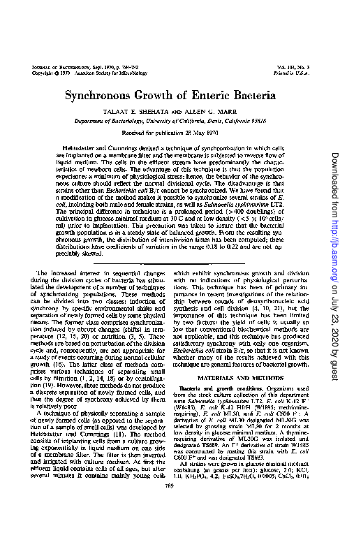 (PDF) Synchronous Growth of Enteric Bacteria