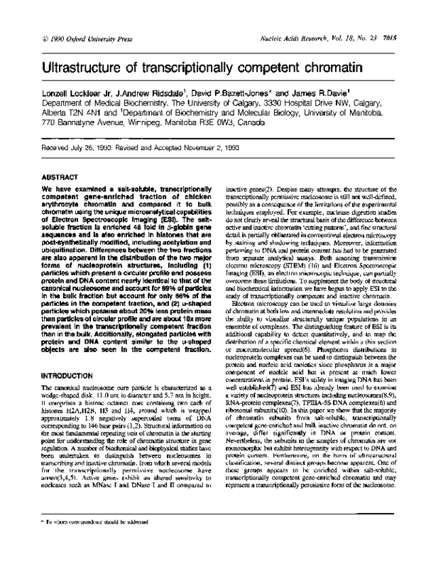 (PDF) Ultrastructure of transcriptionally competent chromatin