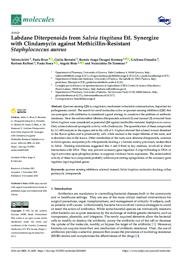 (PDF) Labdane Diterpenoids from Salvia tingitana Etl. Synergize with ...