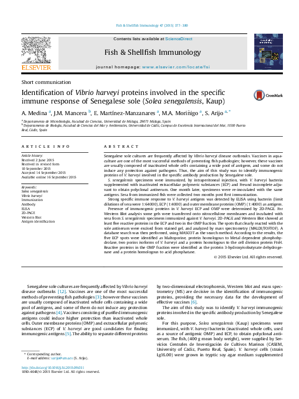 (PDF) Identification of Vibrio harveyi proteins involved in the ...