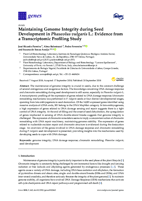 (PDF) Maintaining Genome Integrity during Seed Development in Phaseolus ...