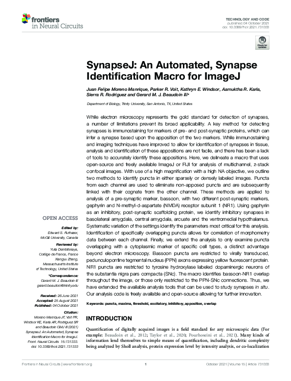 (PDF) SynapseJ: An Automated, Synapse Identification Macro for ImageJ