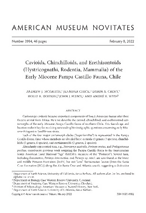(PDF) Cavioids, Chinchilloids, and Erethizontoids (Hystricognathi ...