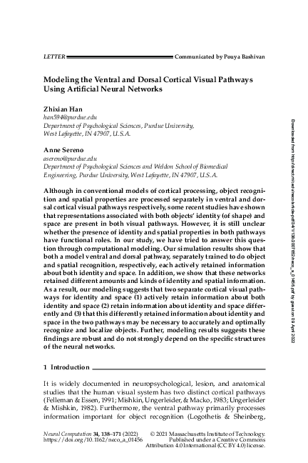 (PDF) Modeling the Ventral and Dorsal Cortical Visual Pathways Using ...