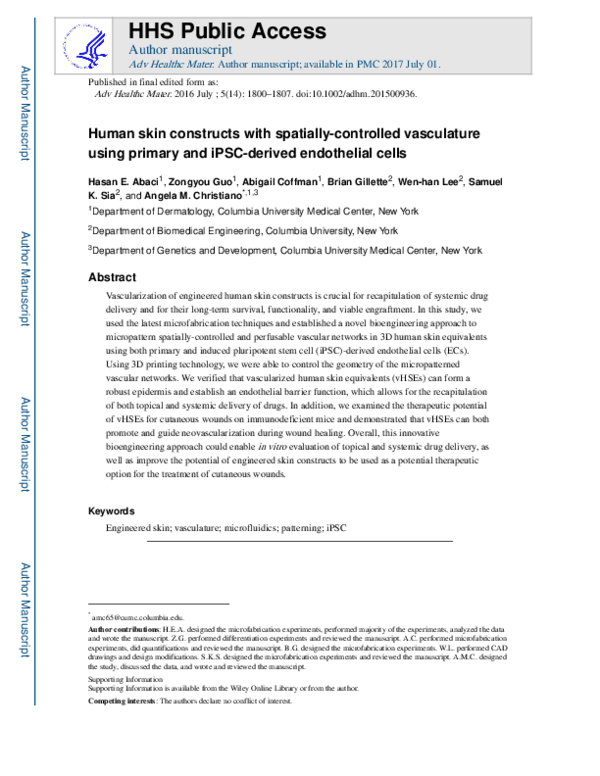 (PDF) Human Skin Constructs with Spatially Controlled Vasculature Using ...
