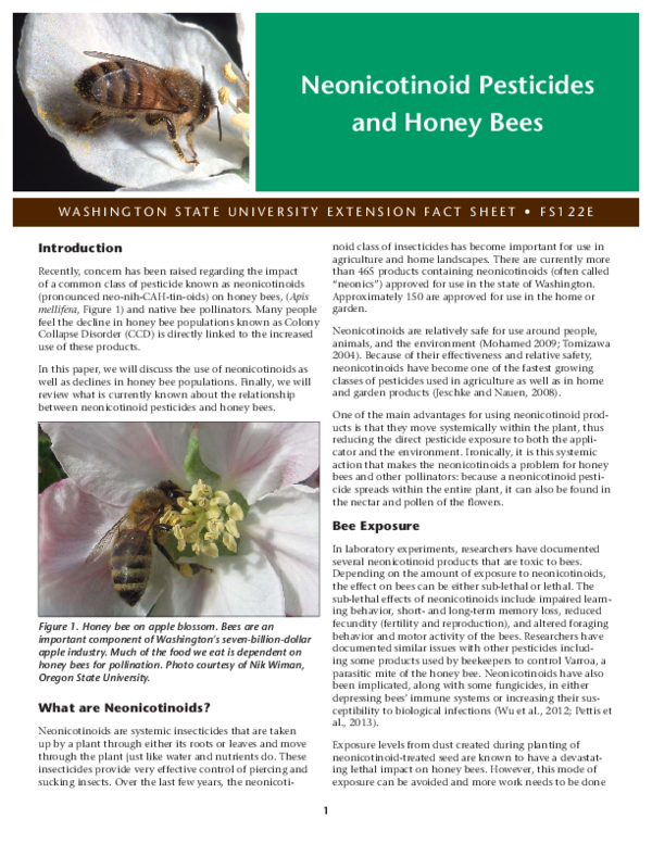 (PDF) Neonicotinoid Pesticides and Honey Bees