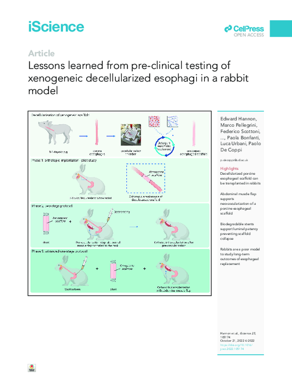 (PDF) Lessons learned from pre-clinical testing of xenogeneic ...