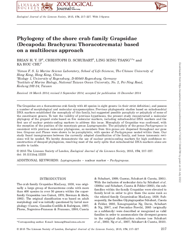 (PDF) Phylogeny of the shore crab family Grapsidae (Decapoda: Brachyura ...