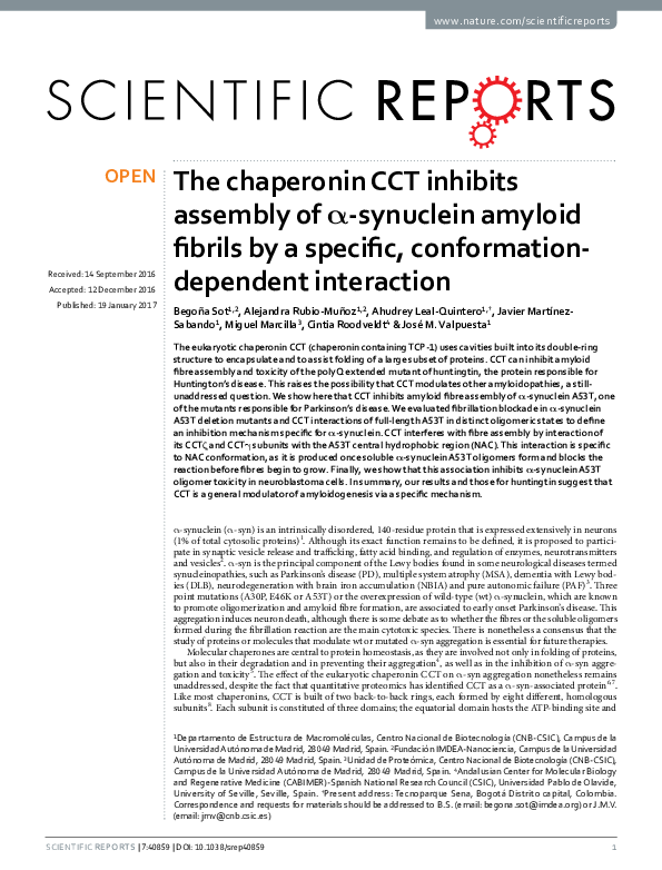 (PDF) The chaperonin CCT inhibits assembly of α-synuclein amyloid ...