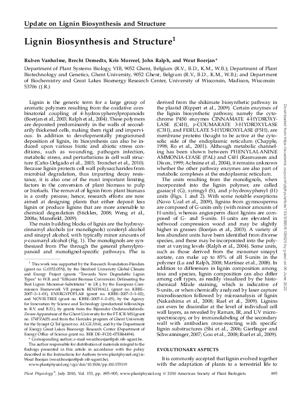 (PDF) Lignin Biosynthesis and Structure