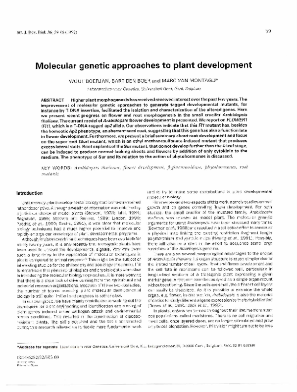 (PDF) Molecular genetic approaches to plant development