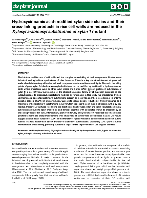 (PDF) Hydroxycinnamic acid‐modified xylan side chains and their cross ...