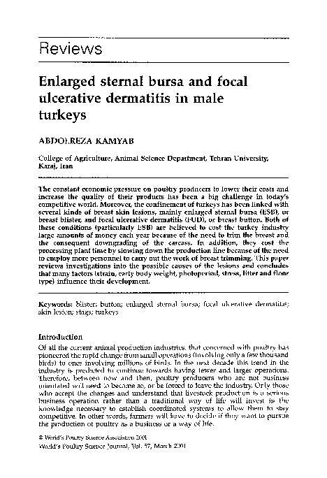 (PDF) Enlarged sternal bursa and focal ulcerative dermatitis in male ...