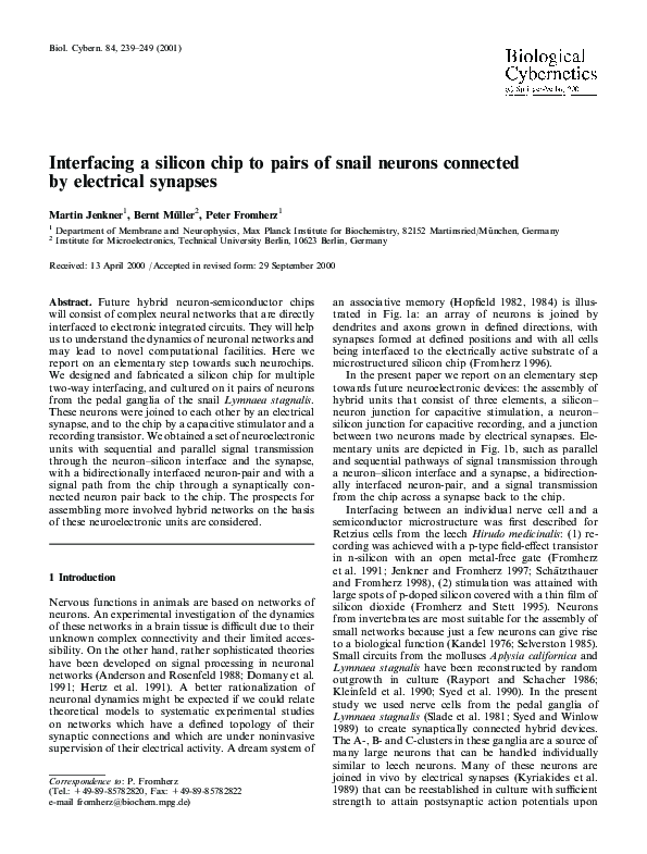 (PDF) Interfacing a silicon chip to pairs of snail neurons connected by ...