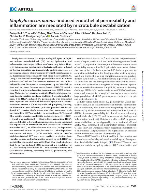 (PDF) Staphylococcus aureus–induced endothelial permeability and ...