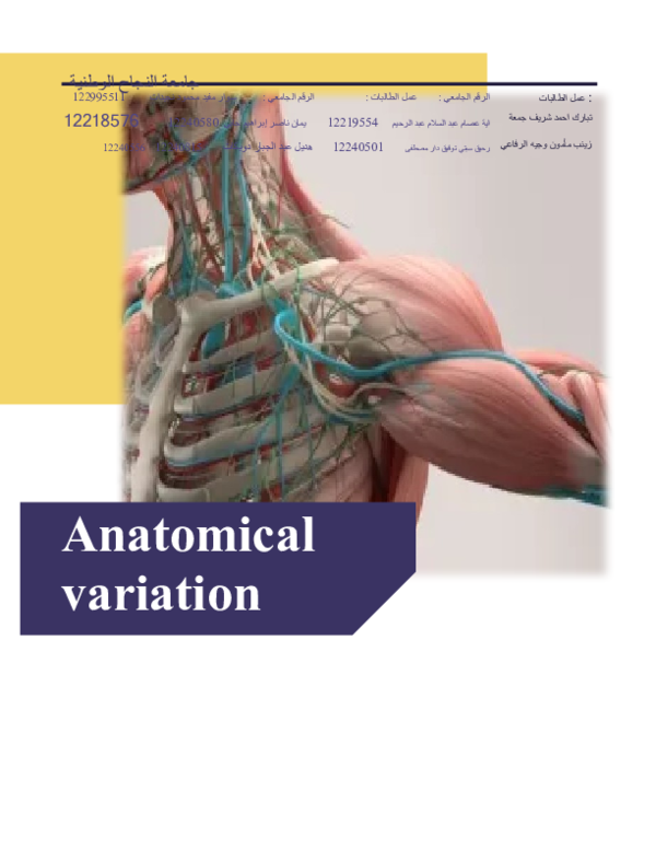 (DOC) Anatomical variation