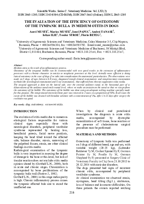 (PDF) The evaluation of the efficiency of osteotomy of the tympanic ...