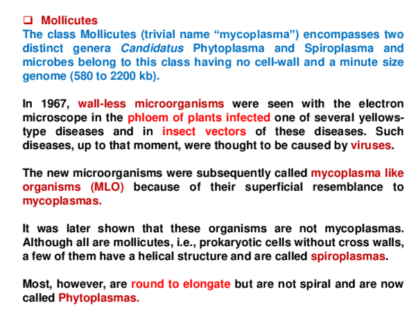 (PDF) Mollicutes Phtoplasma Spiroplasma Fastidious Bacteria
